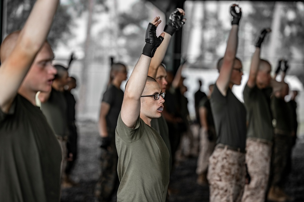 DVIDS - Images - Mike Company MCMAP [Image 1 of 12]