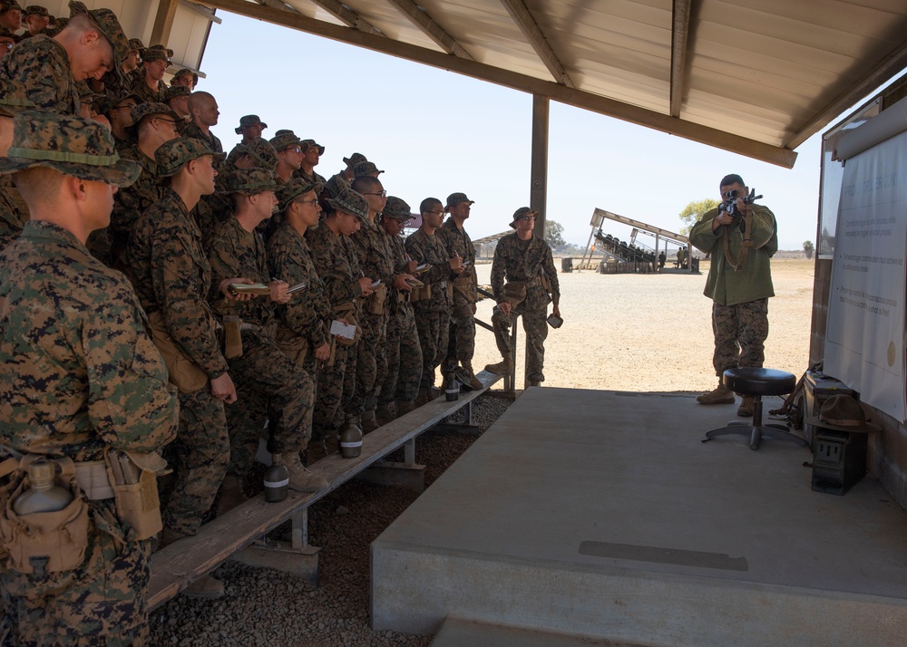 DVIDS - Images - Delta Company Grass Week [Image 1 of 6]