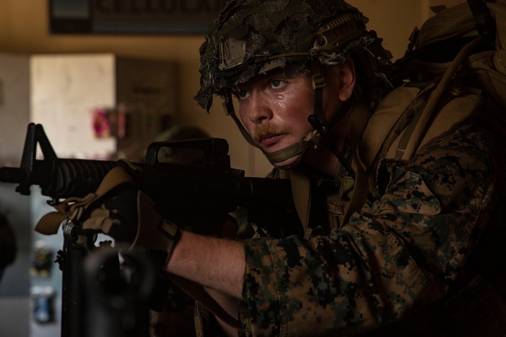 DVIDS - Images - Exercise Burmese Chase: 2nd ANGLICO Conducts Close Air ...