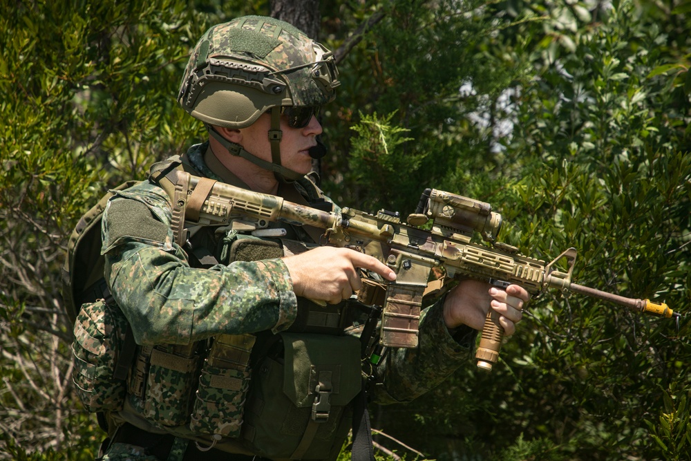 DVIDS - Images - Exercise Burmese Chase: 2nd ANGLICO Conducts Close Air ...