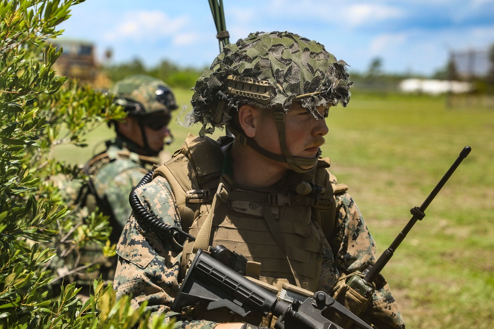 DVIDS - Images - Exercise Burmese Chase: 2nd ANGLICO Conducts Close Air ...