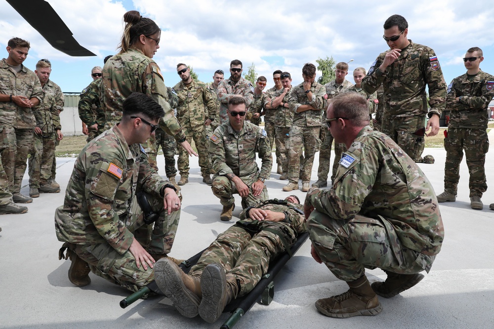 DVIDS - Images - Joint MEDEVAC Training [Image 2 of 12]
