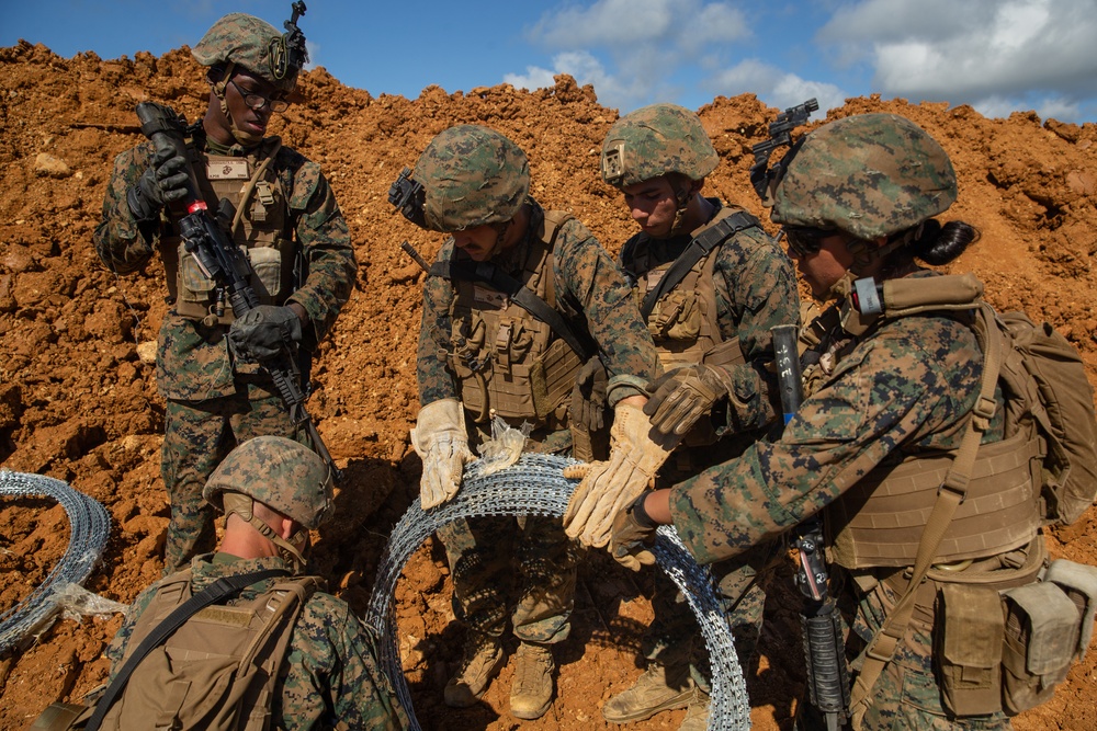DVIDS - Images - 3rd LSB Engineer Support Platoon Marines fortify ...