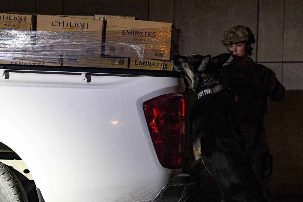 DVIDS - Images - Security Never Sleeps [Image 7 of 13]