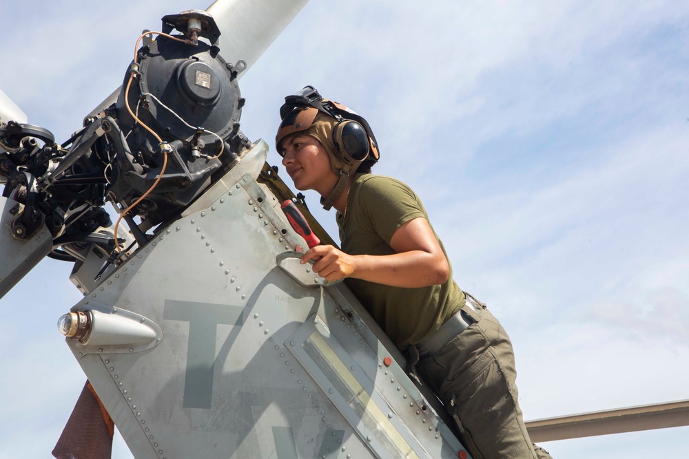 DVIDS - Images - Marines with Marine Light Attack Helicopter Squadron ...