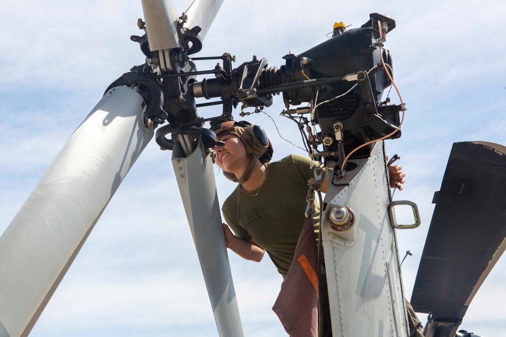 DVIDS - Images - Marines with Marine Light Attack Helicopter Squadron ...