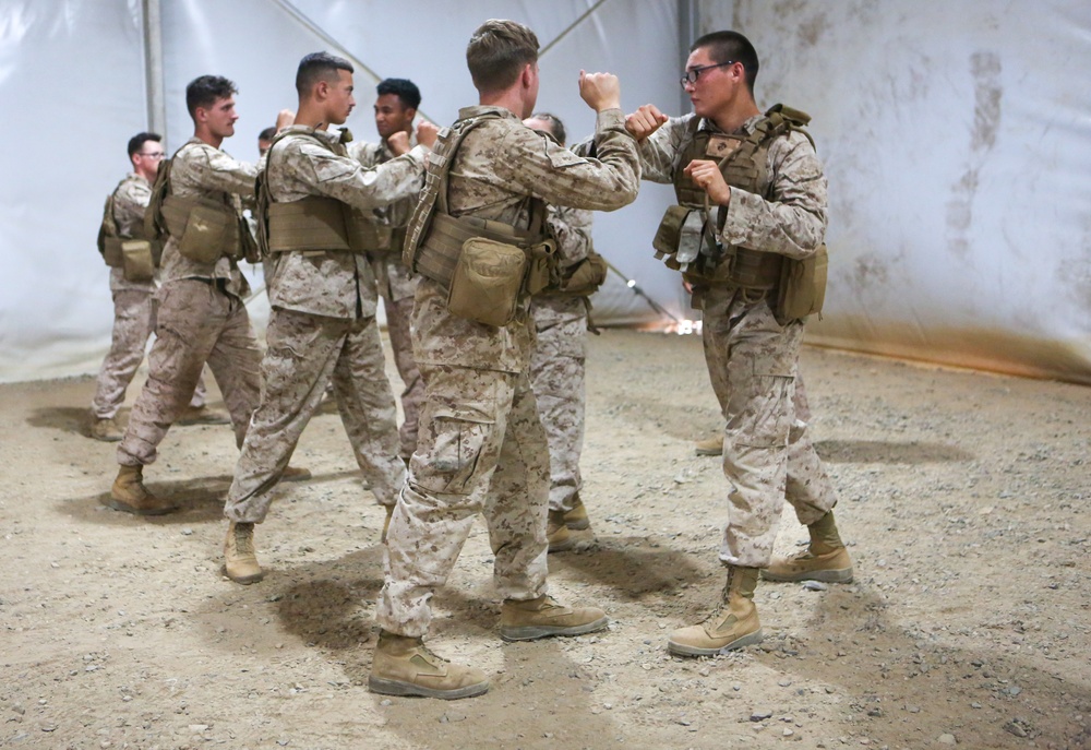 DVIDS - Images - MCMAP during Native Fury 22 [Image 4 of 8]