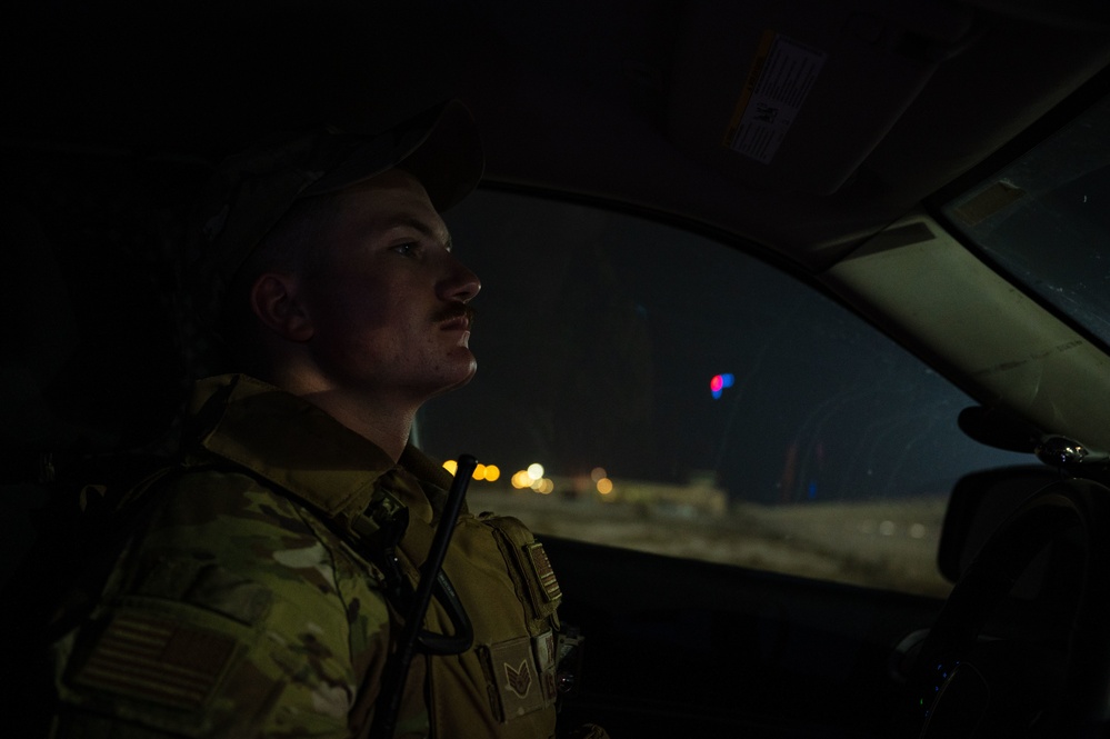 DVIDS - Images - Dogs in the Deid after dark [Image 1 of 4]