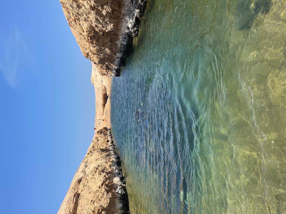 DVIDS - Images - USAID Programs Support Egypt's Red Sea Conservation ...