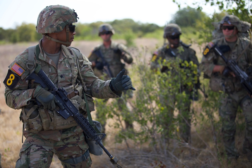 DVIDS - Images - U.S. Army Forces Command Best Squad Competition Day 3 ...