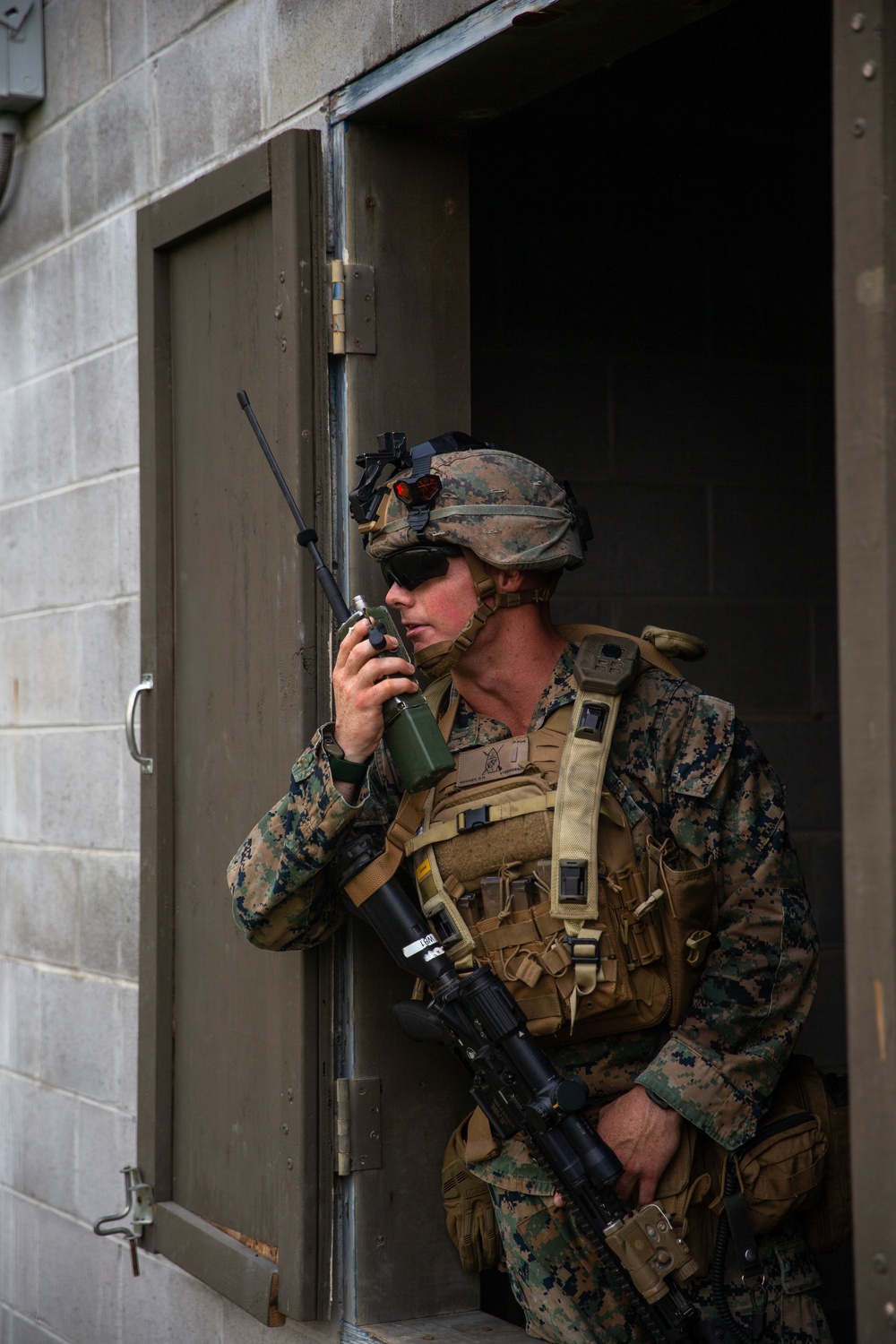 DVIDS - Images - 1/8 at Bold Quest [Image 8 of 24]
