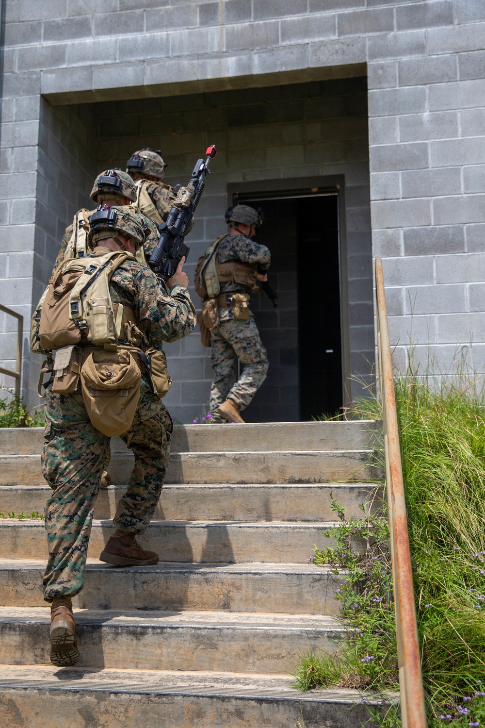 DVIDS - Images - 1/8 at Bold Quest [Image 11 of 24]