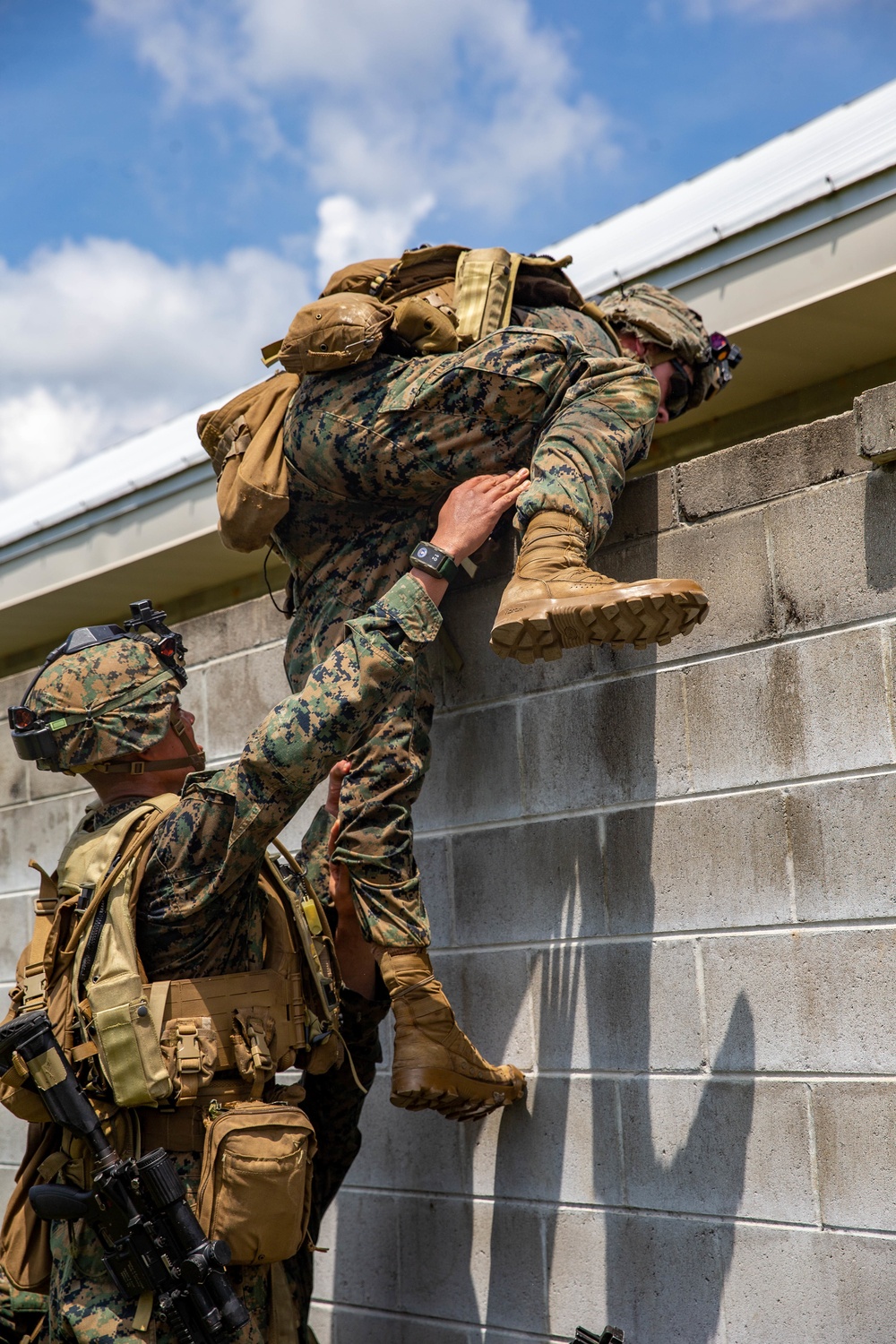 DVIDS - Images - 1/8 at Bold Quest [Image 14 of 24]