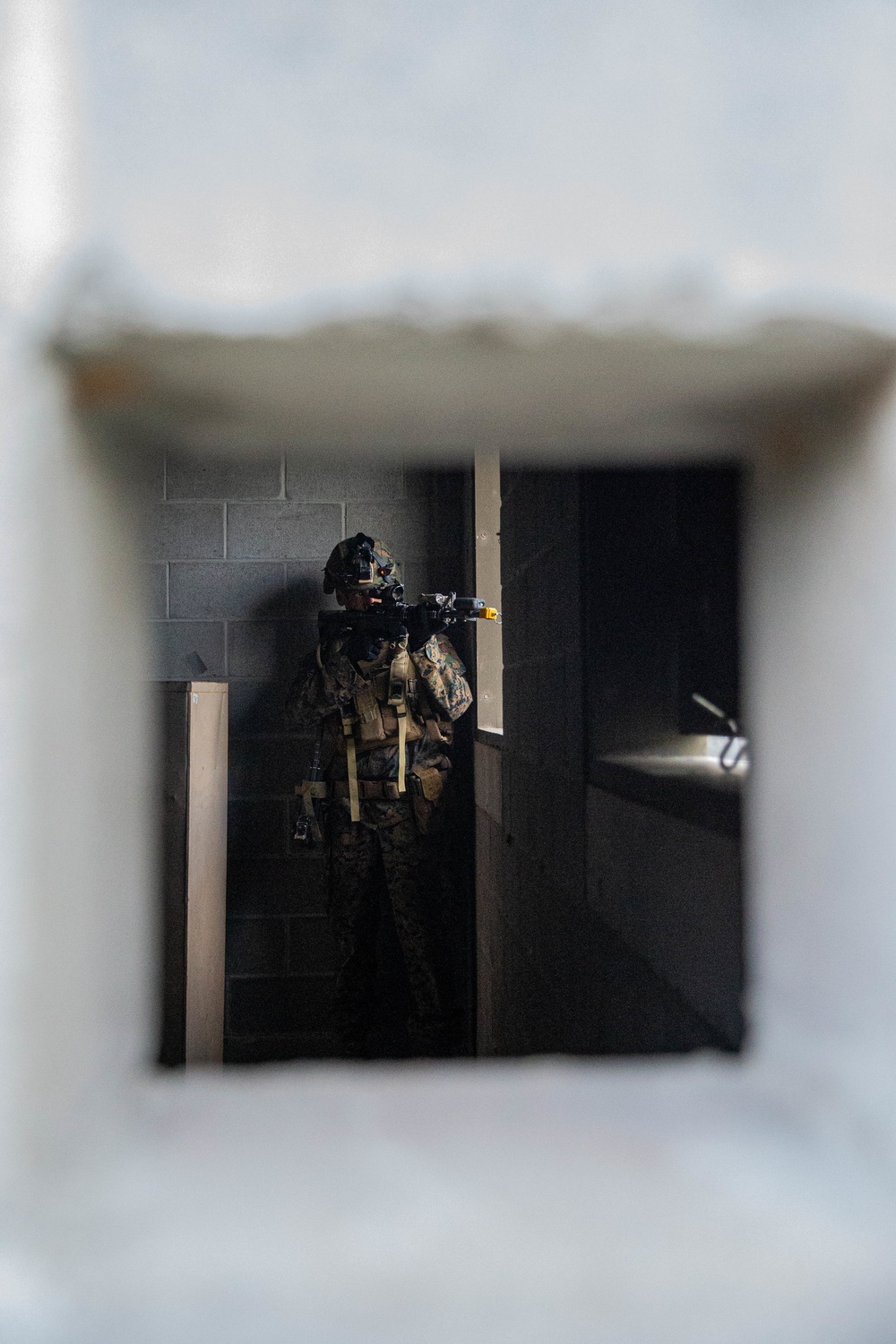 DVIDS - Images - 1/8 at Bold Quest [Image 19 of 24]