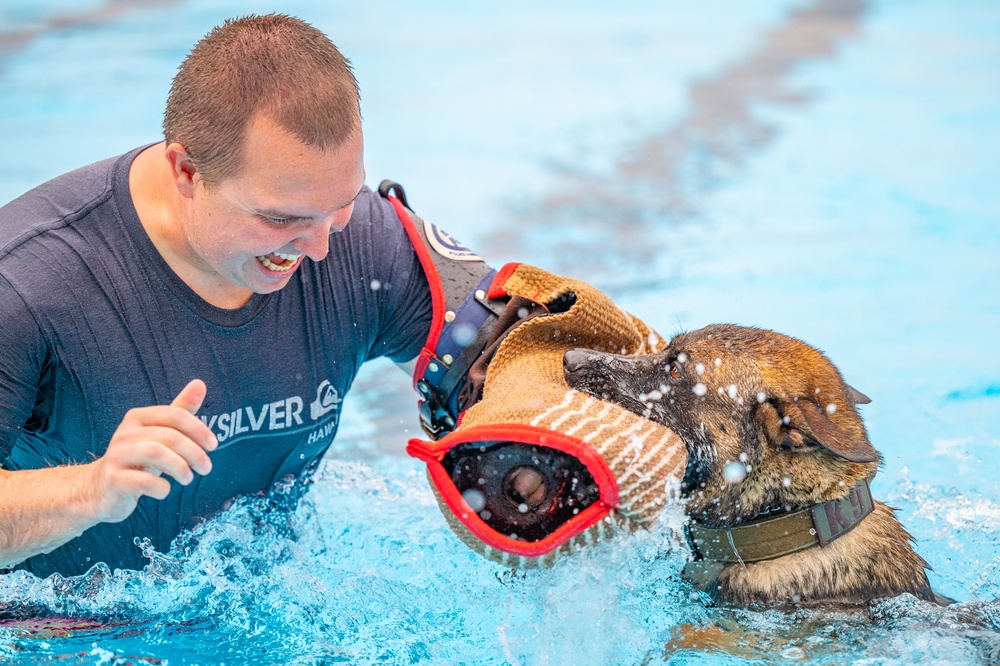 DVIDS - Images - Malmstrom K-9's complete annual water training [Image ...