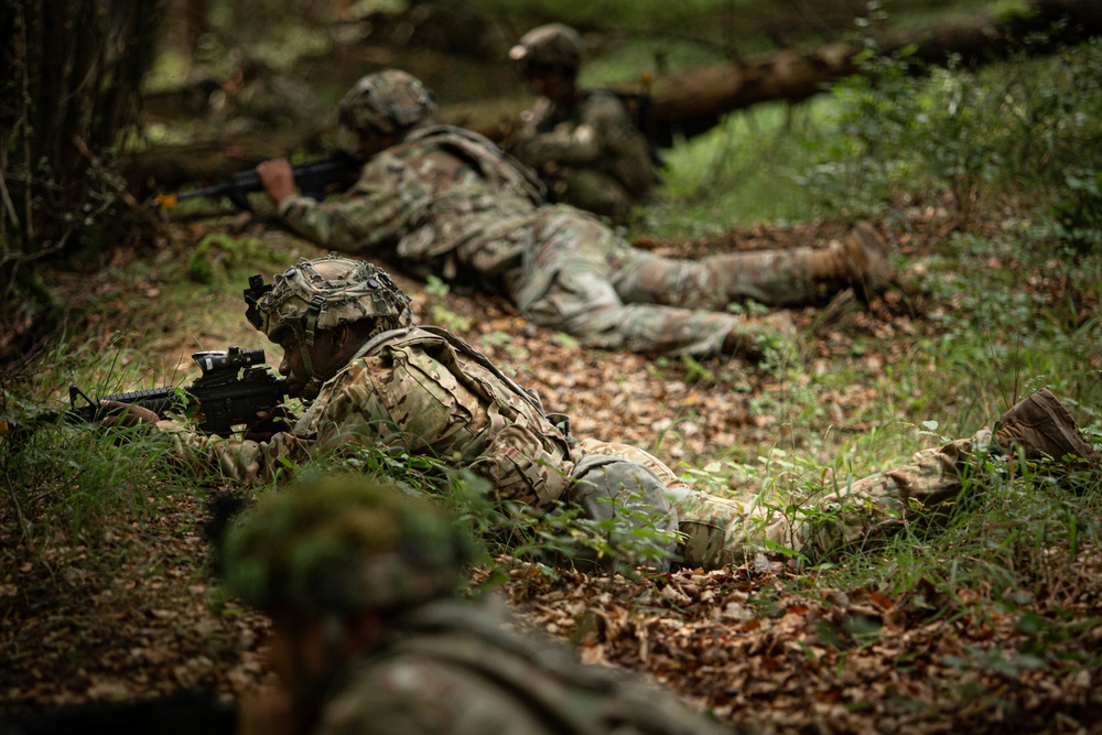 DVIDS - Images - Soldiers from 173rd pull security during Saber ...