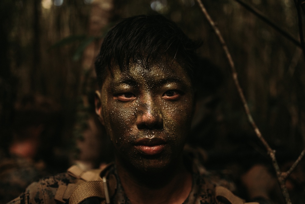 DVIDS - Images - Ground Sensor Platoon | 3d Intelligence Battalion