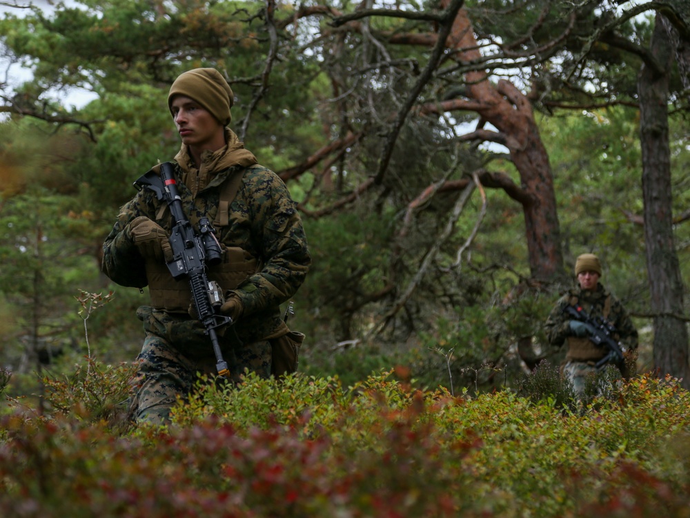 DVIDS - Images - Littoral Engineers Conduct Reconnaissance in the ...