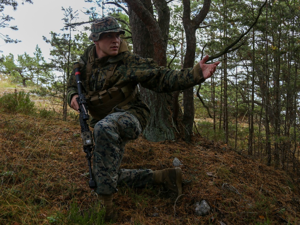 DVIDS - Images - Littoral Engineers Conduct Reconnaissance in the ...
