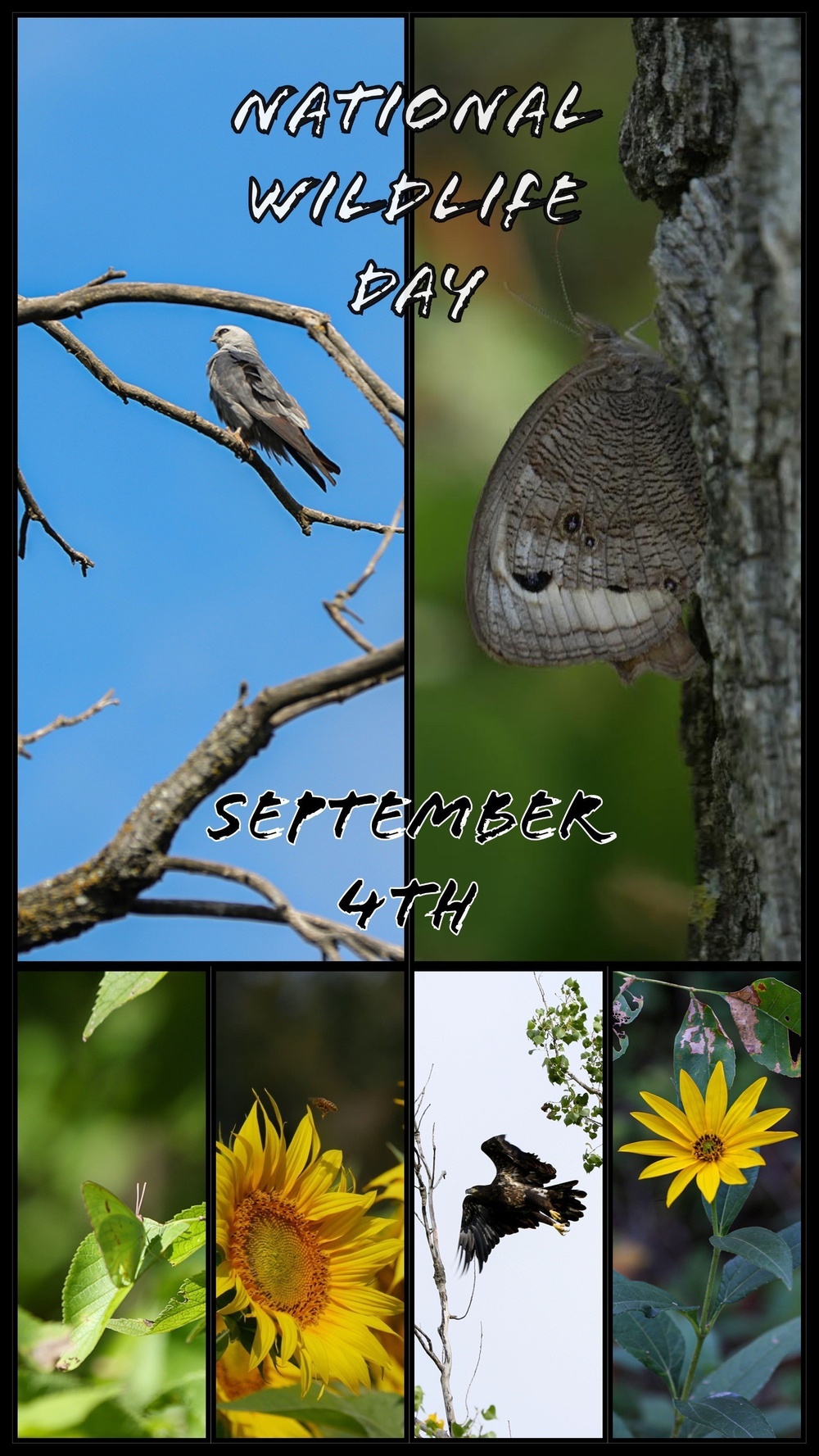 DVIDS - Images - National Wildlife Day