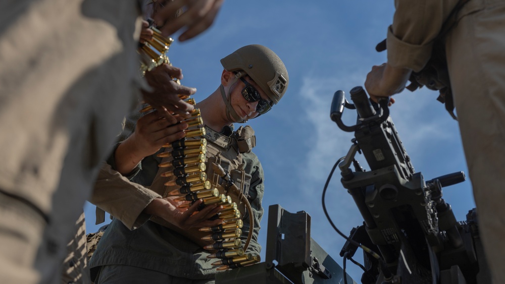 DVIDS - Images - 2d Assault Amphibian Battalion: MK19 and M2 Machine ...