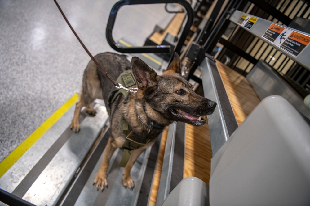 DVIDS - Images - Strengthening Community Partnerships through Training ...