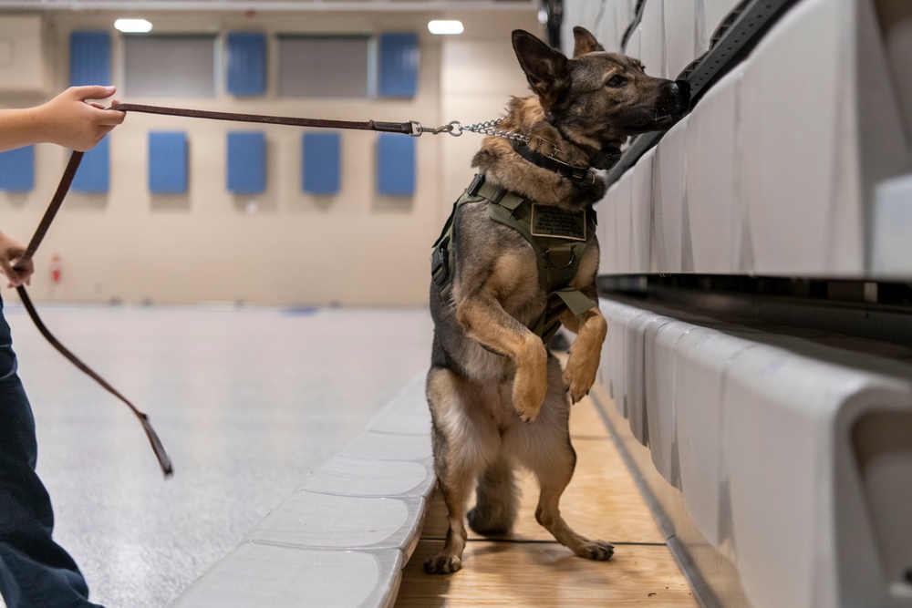 DVIDS - Images - Strengthening Community Partnerships through Training ...