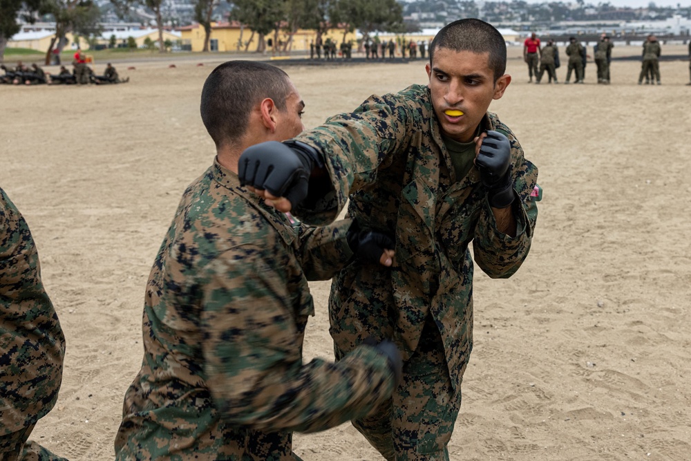 DVIDS - Images - Charlie Company combat conditioning [Image 2 of 8]