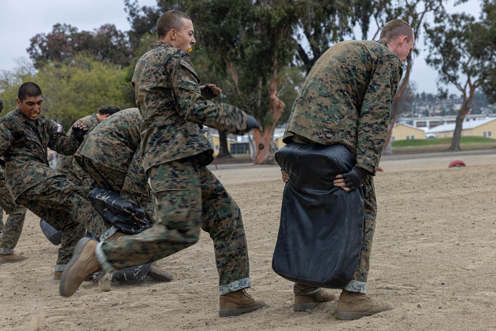 DVIDS - Images - Charlie Company combat conditioning [Image 8 of 8]