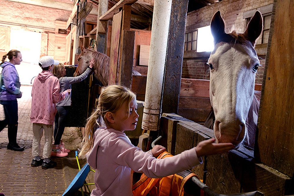 DVIDS - Images - Event at stables connects History with Horses [Image 1 ...
