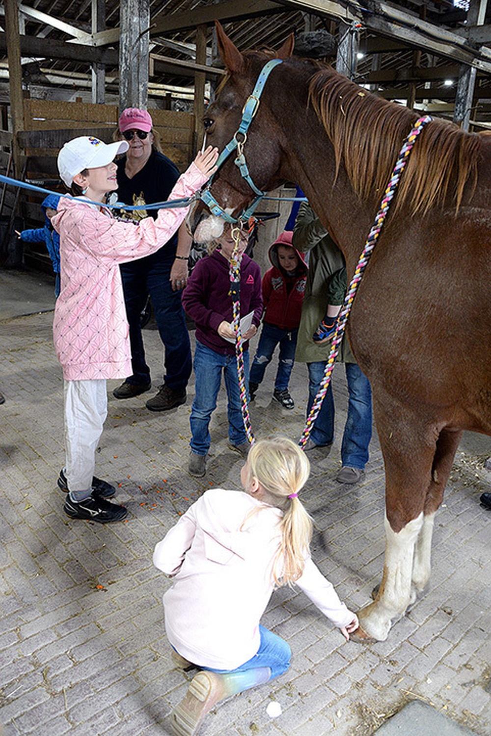 DVIDS - News - Event at stables connects History with Horses
