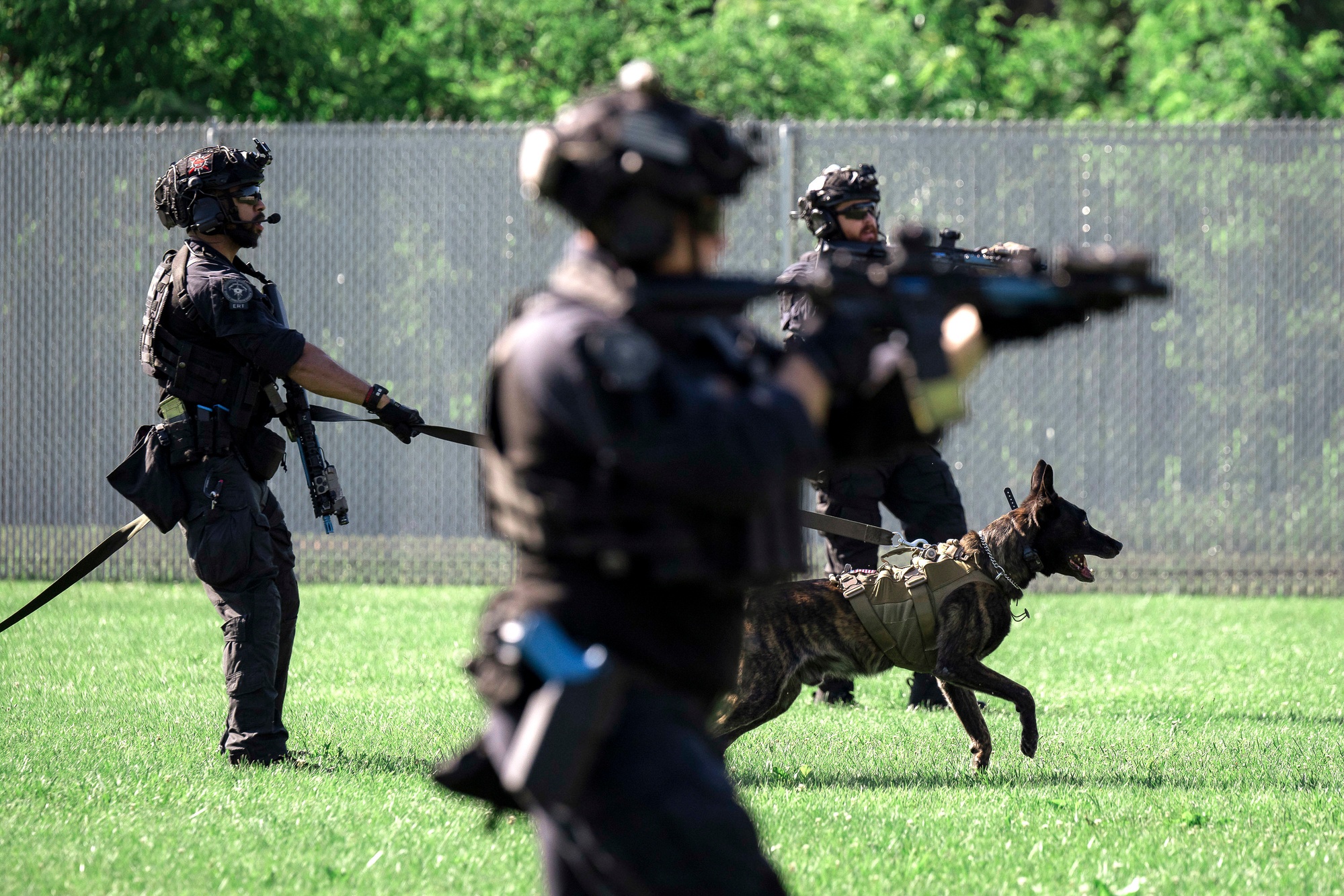 Challenge Considered Challenge Accepted