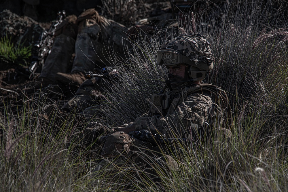 DVIDS - Images - JPMRC 23-01 - 1-21 Inf. Reg. Compound Assault [Image 5 ...