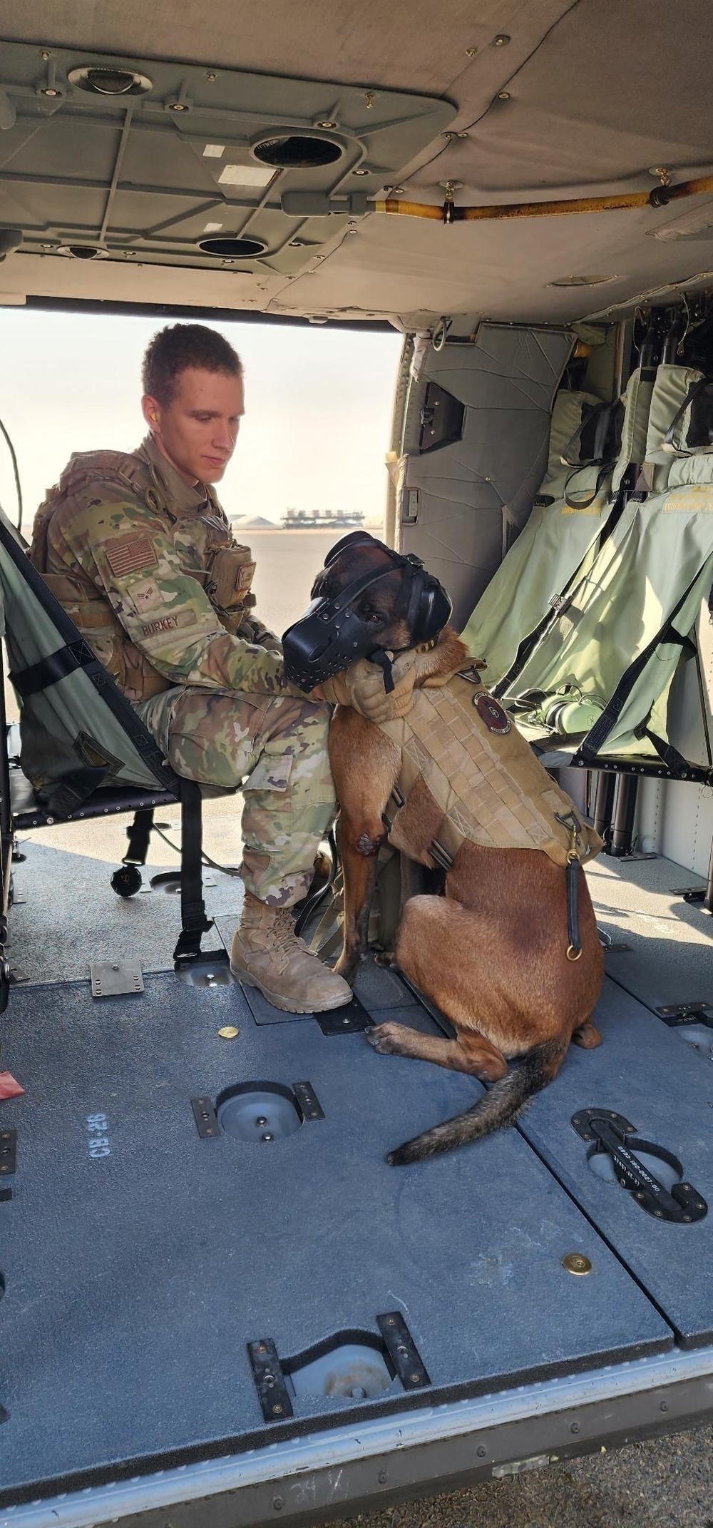 DVIDS - Images - K-9 Mission [Image 4 of 7]