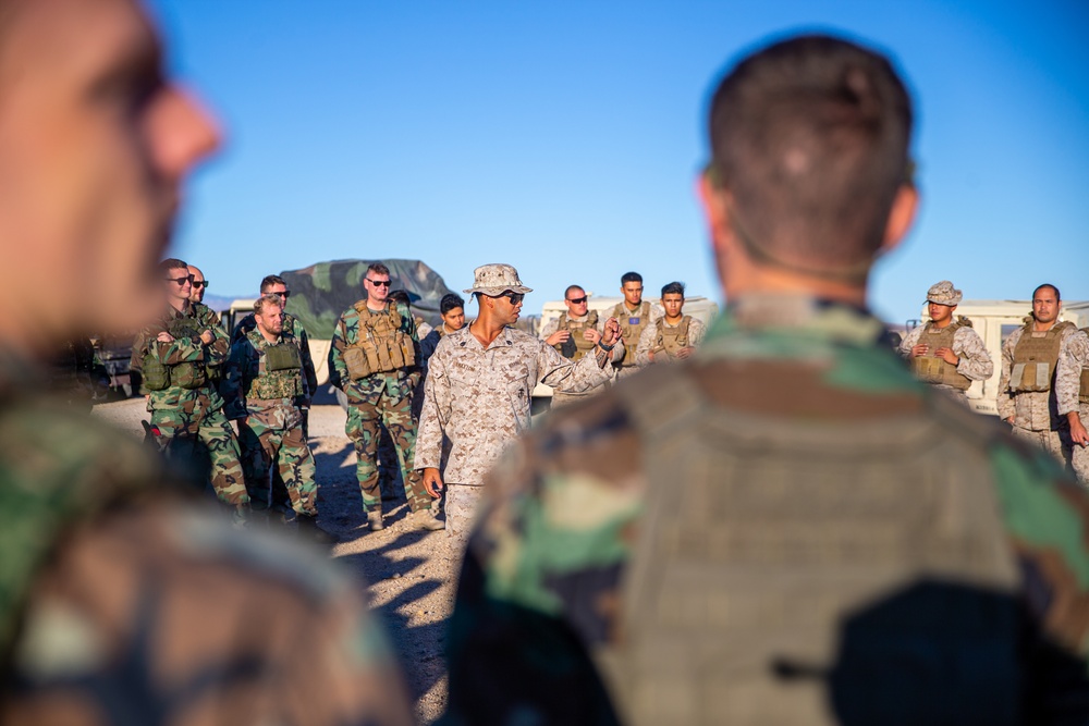 DVIDS - Images - U.S. Marines, Dutch Royal Marines conduct tactical ...