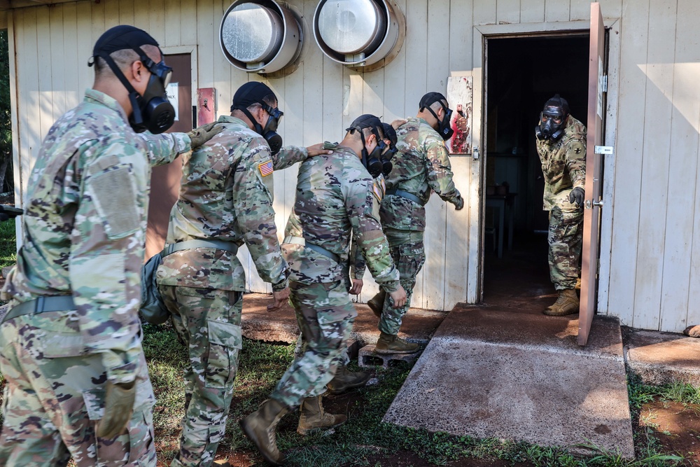 DVIDS - Images - The 8th Special Troops Battalion conduct CS gas ...