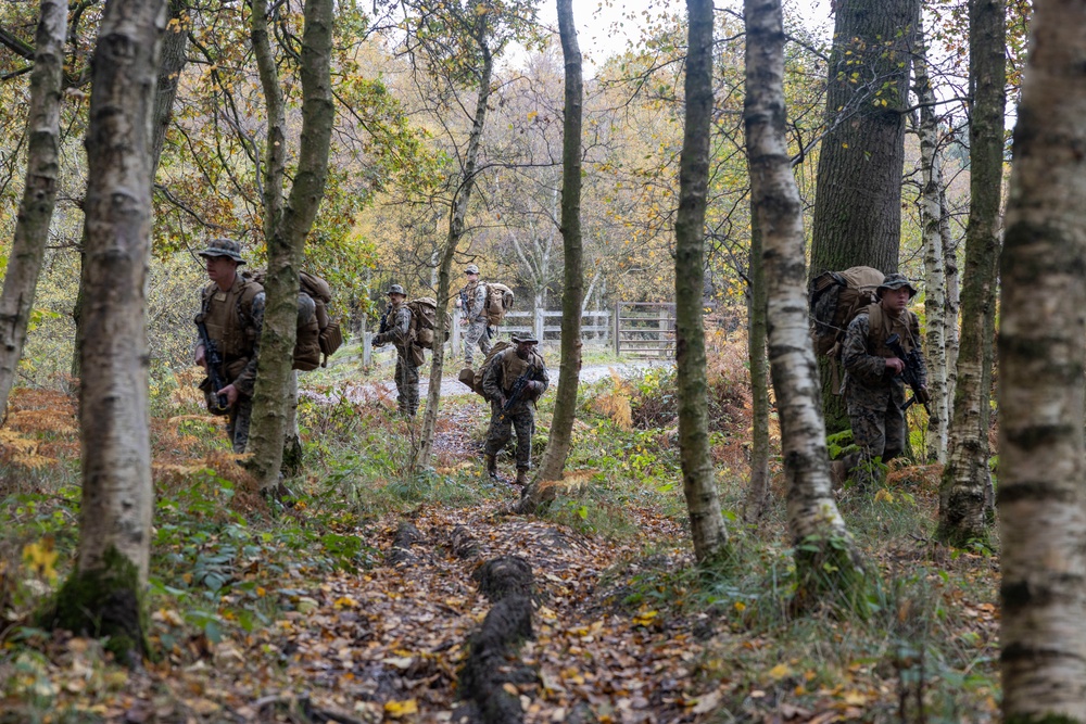 DVIDS - Images - Exercise Tartan Eagle Phase II - Patrolling and ...
