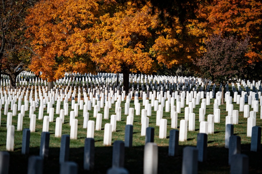 DVIDS - Images - Fall at ANC 2022 [Image 6 of 8]