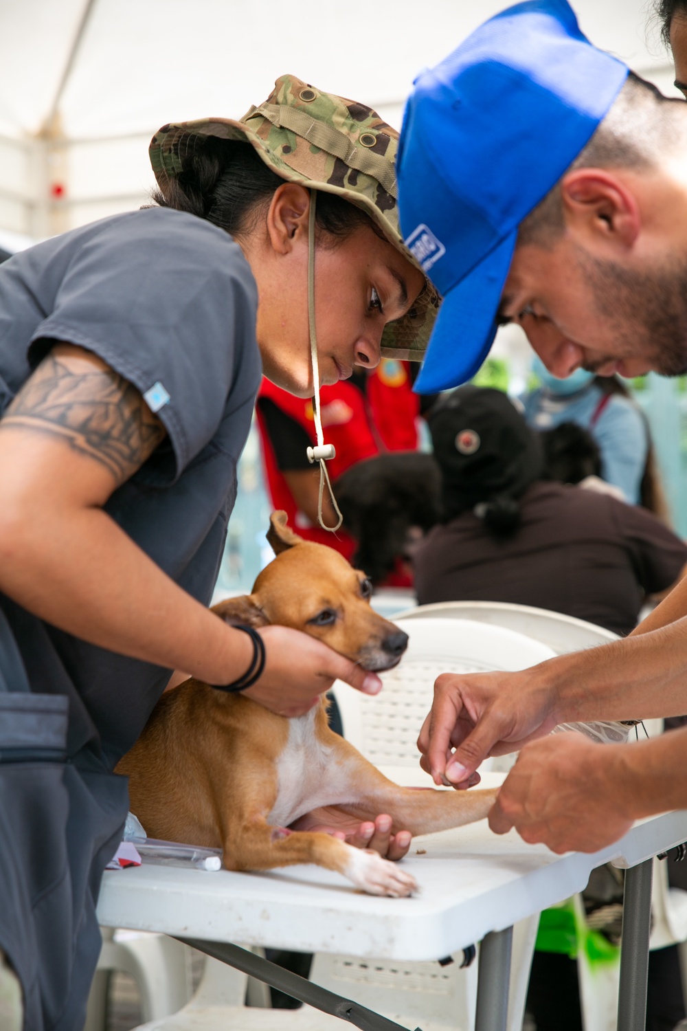 DVIDS - Images - VETERINARY SERVICES IN SUPPORT OF CONTINUING PROMISE ...
