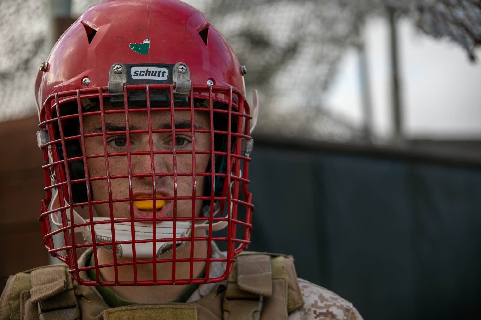 Joshua Dreher's Instagram, Twitter & Facebook on IDCrawl