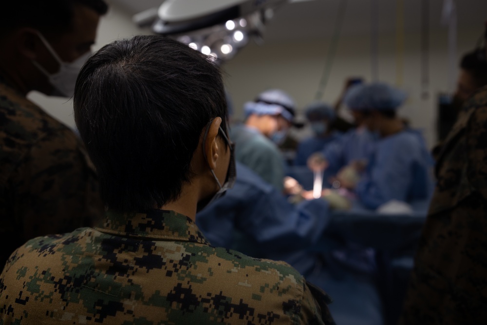 DVIDS - Images - Keen Sword 23: JGSDF General surgeons conduct porcine ...
