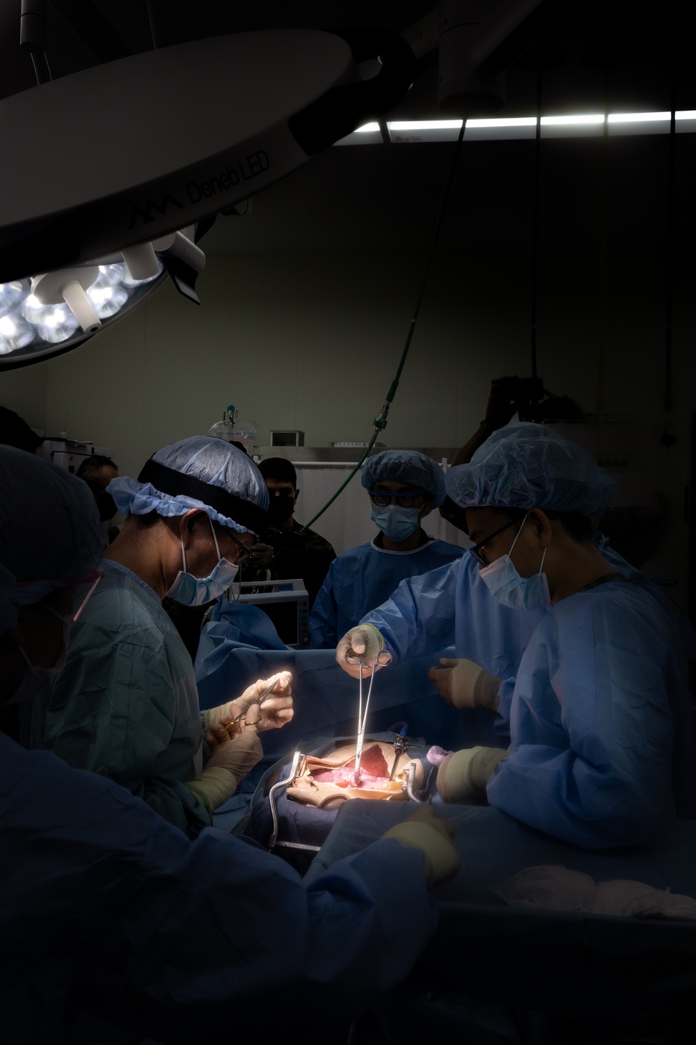 DVIDS - Images - Keen Sword 23: JGSDF General surgeons conduct porcine surgical demonstrations ...