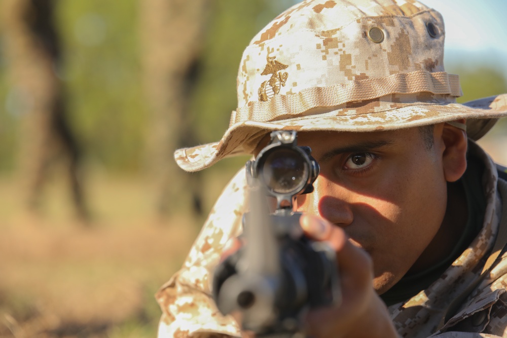 DVIDS - Images - Echo Company Grass Week [Image 3 of 7]