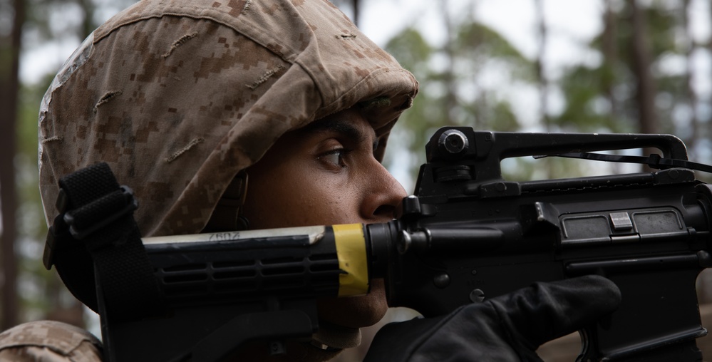 DVIDS - Images - Hotel Company Basic Warrior Training [Image 1 of 20]