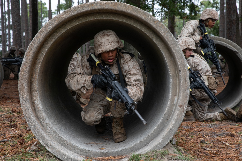 DVIDS - Images - Hotel Company Basic Warrior Training [Image 5 of 20]