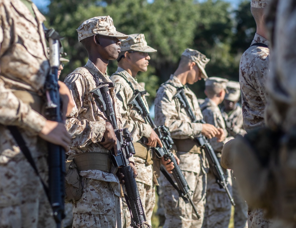 DVIDS - Images - Delta Company Grass Week [Image 1 of 4]