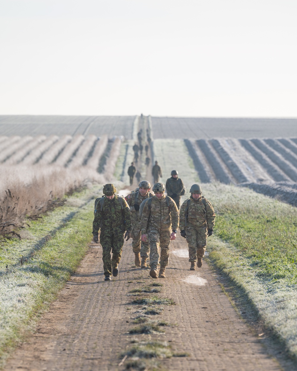 DVIDS - Images - NATO allies conduct joint drop training [Image 3 of 8]