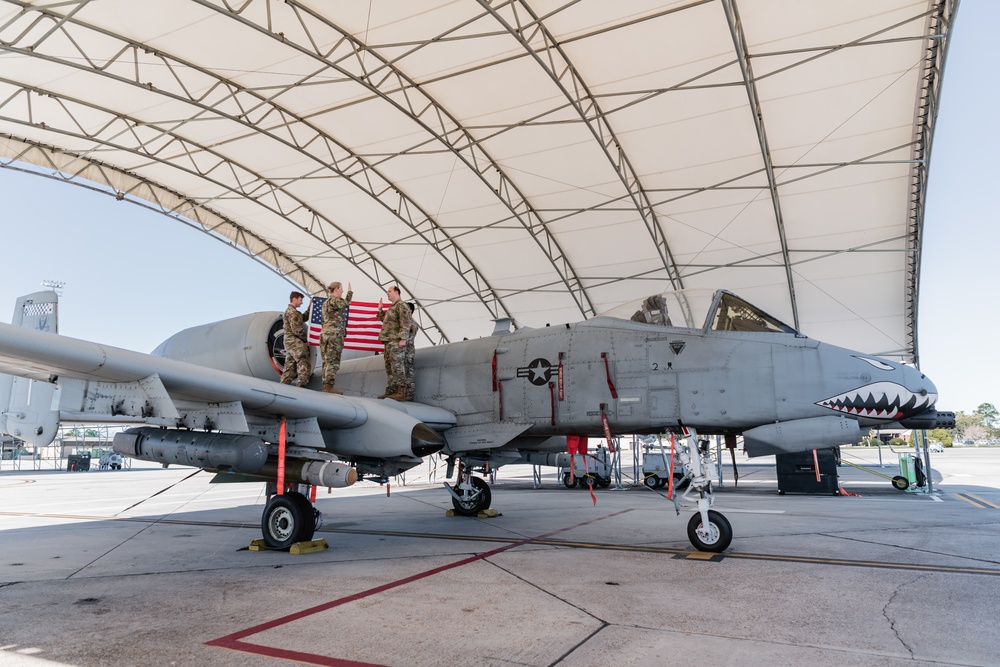 DVIDS - Images - A-10C Thunderbolt II Reenlistment [Image 1 of 5]