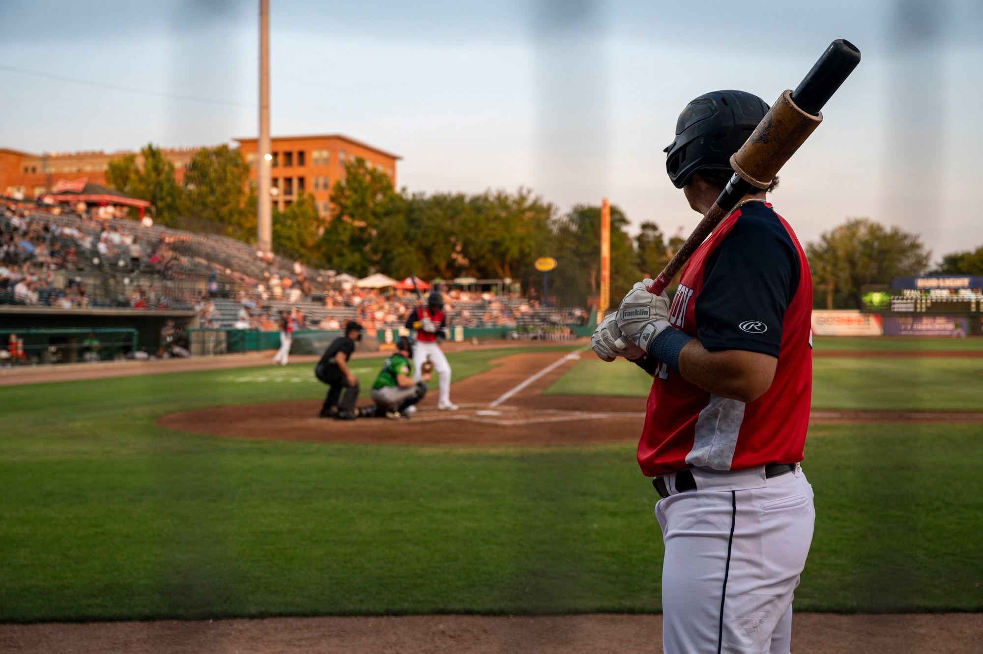 Public Domain Images Charleston Riverdogs Logo