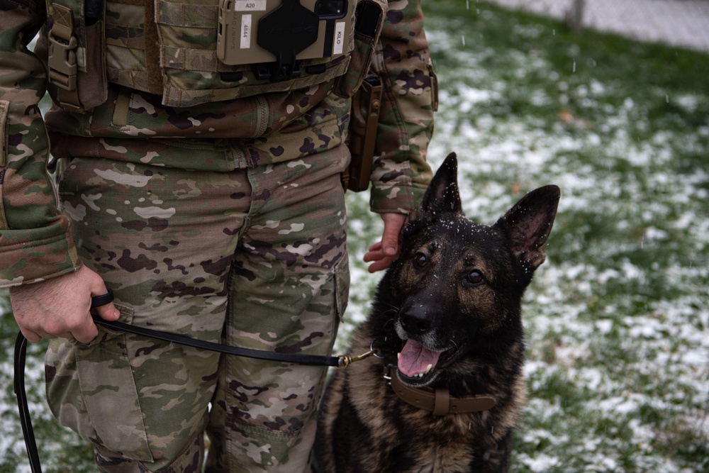 DVIDS - Images - Snow or shine: MWD training never stops [Image 1 of 11]